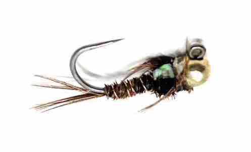 Tungsten Jig Flash Back Pheasant Tail - Barbless - Finham.com