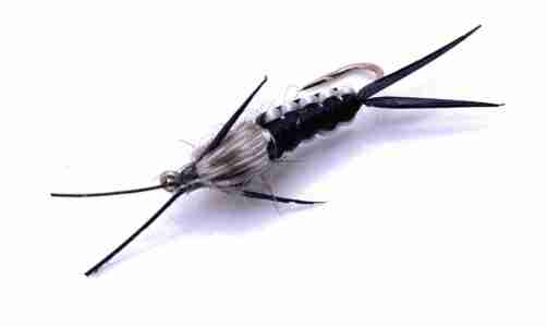 About Us - Finham.com