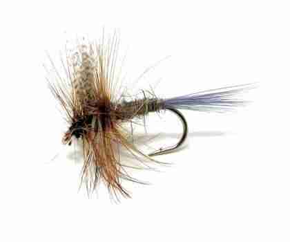 Grey Fox Fly - Finham.com