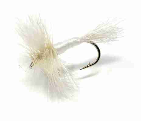 White Wulff - Finham.com