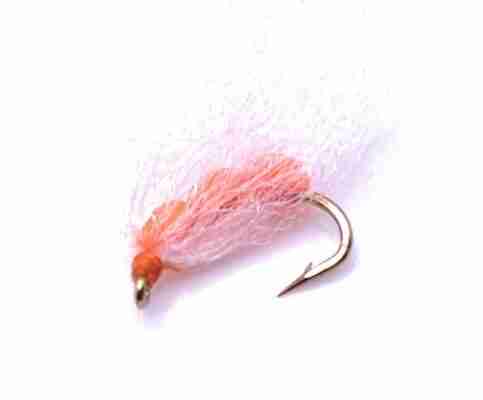 Squiggly Spawn - Finham.com