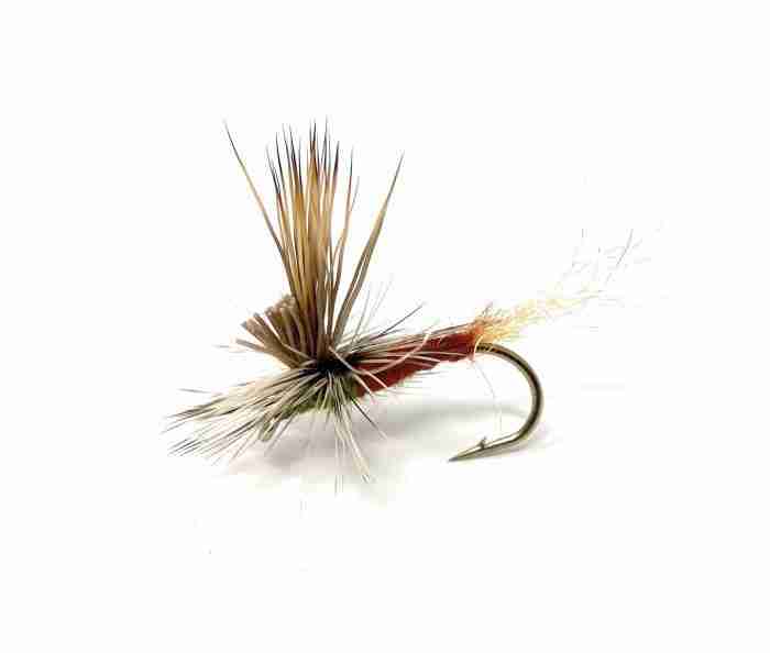 EC Caddis Fly - Finham.com