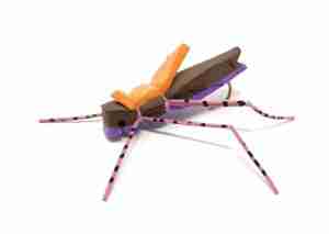 Morrish Hopper - Finham.com