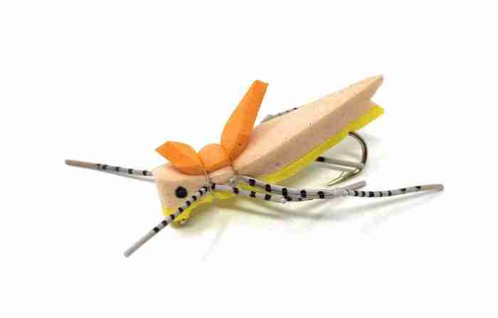 Morrish Hopper - Finham.com