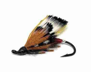 Lady Amherst Fly - Finham.com