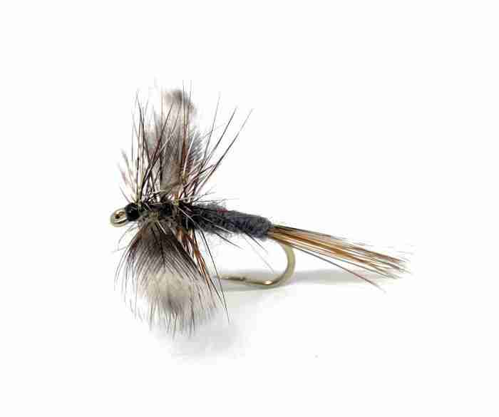 Adams Spent Wing - Finham.com