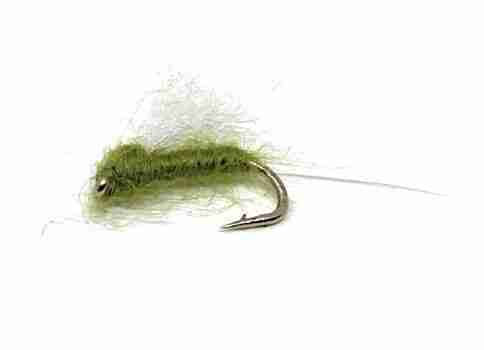 RS2 Fly - Finham.com