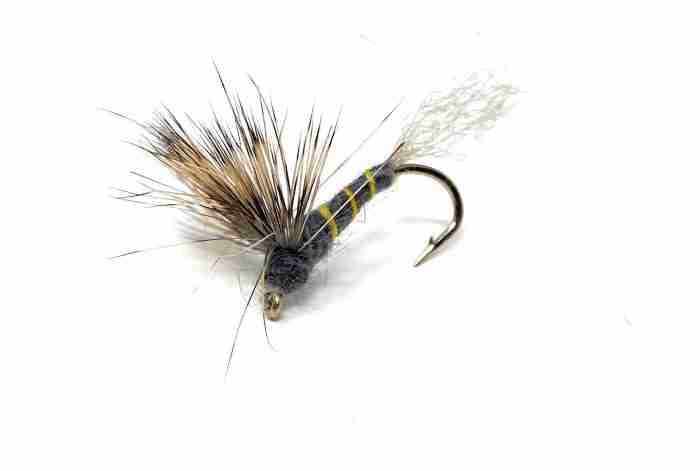 Sparkle Dun Fly - Finham.com