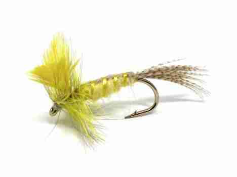 Big Yellow May Dun - Finham.com