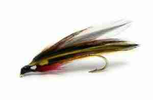 Fiery Brown Fly - Finham.com