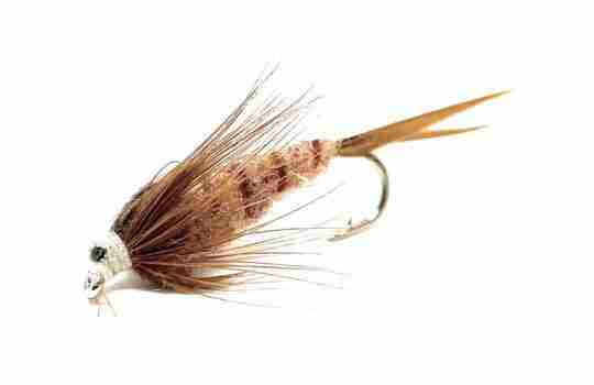 Early Brown Stone - Finham.com