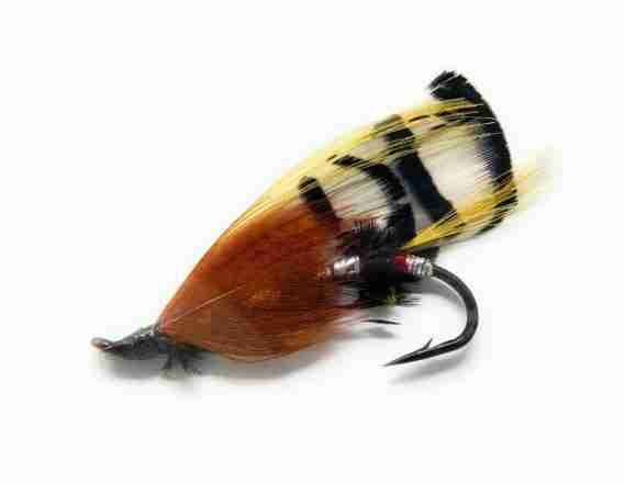 Framed Fully Dressed Salmon Fly - Finham.com